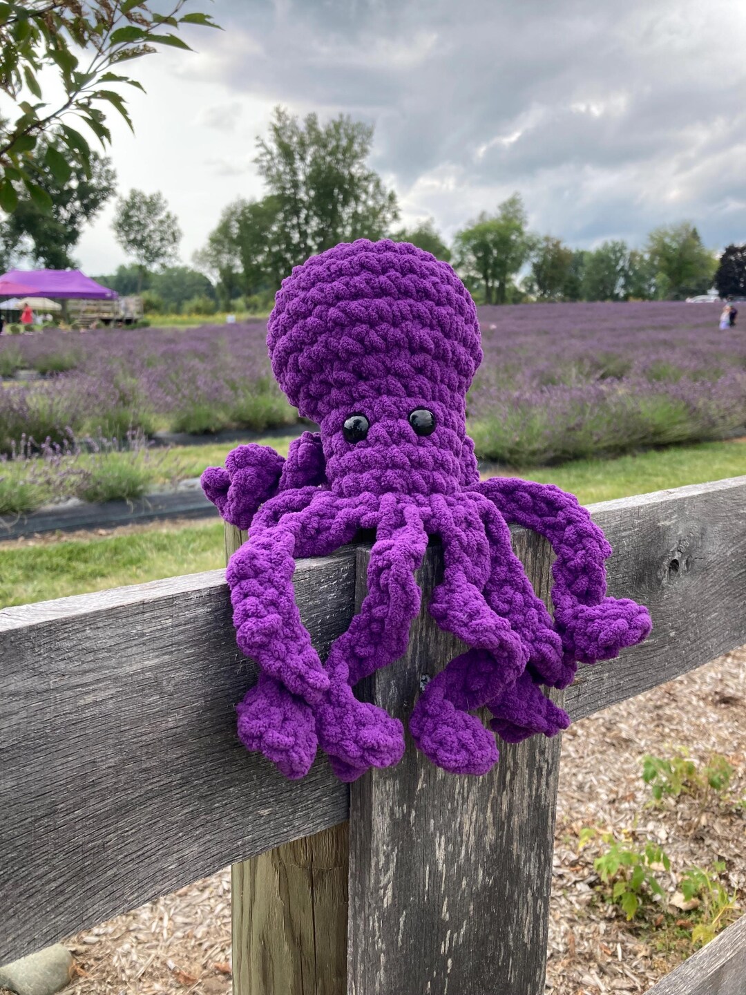 OCTOPUS Plush Amigurumi Purple Octopus Plushie Octopi Octopuses - Etsy