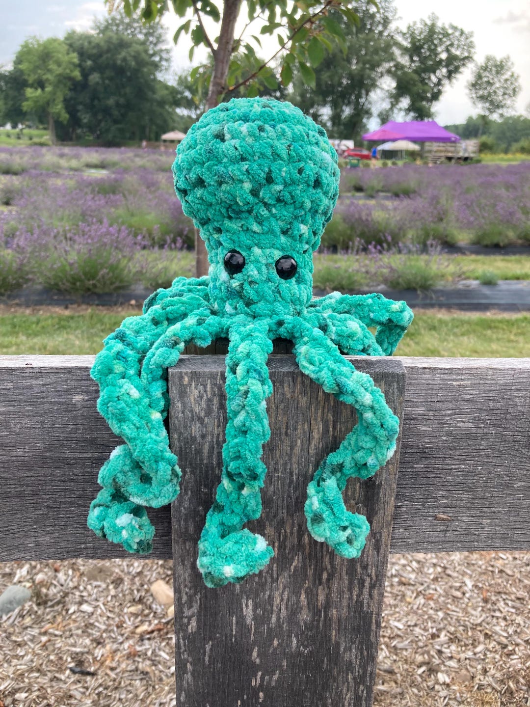 OCTOPUS Plush Amigurumi Green Octopus Plushie Octopi Octopuses - Etsy