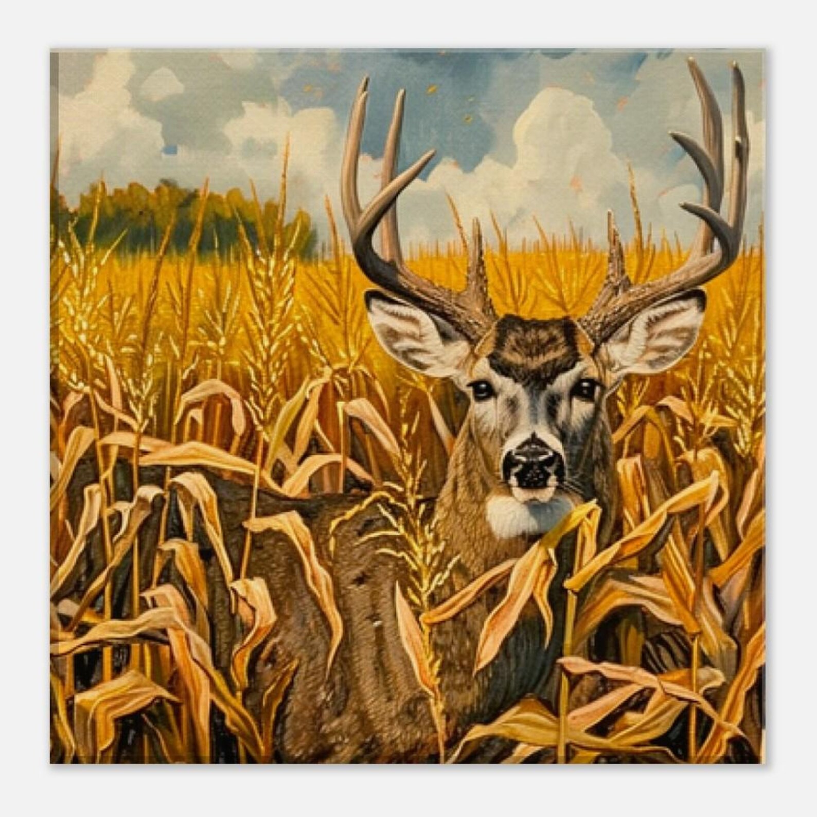 Whitetail Deer in Corn Field (buck) Canvas - Etsy
