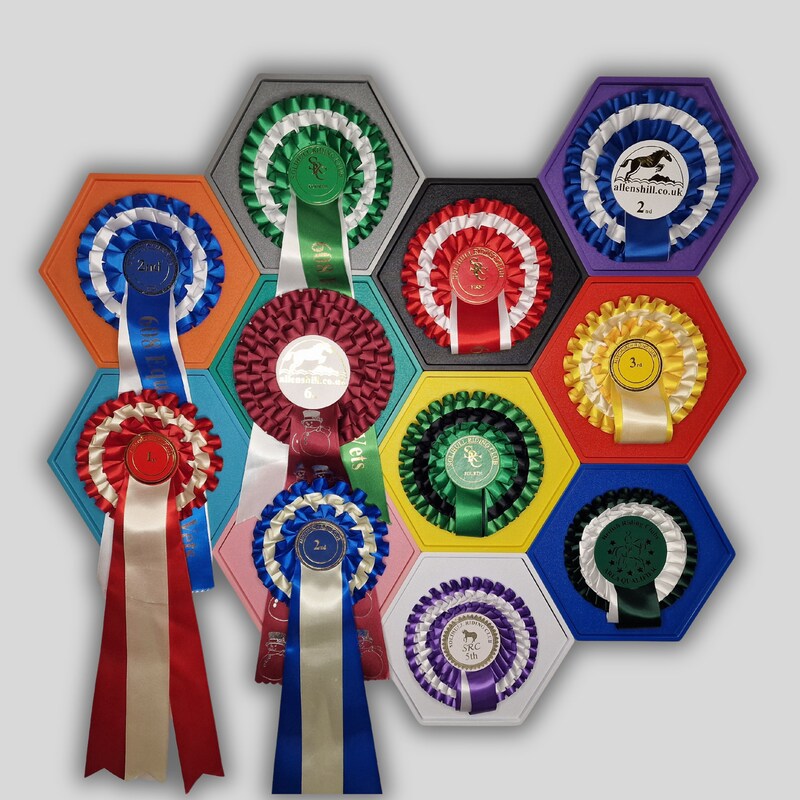 3d Printed Prizes - Etsy UK