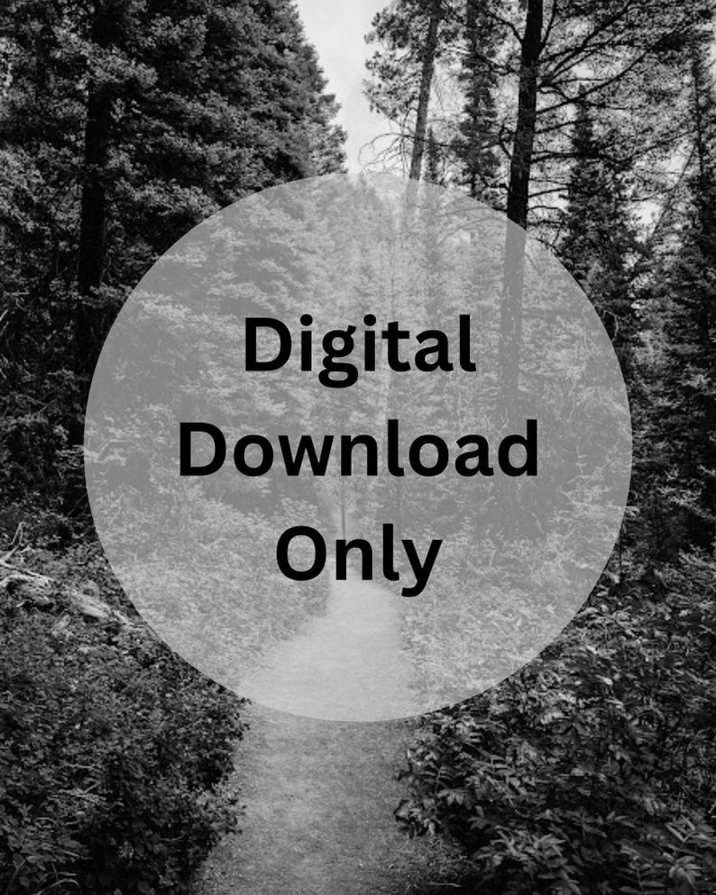 Forest Path Printable Wall Art, Nature Trail Photography, Rustic Cabin ...
