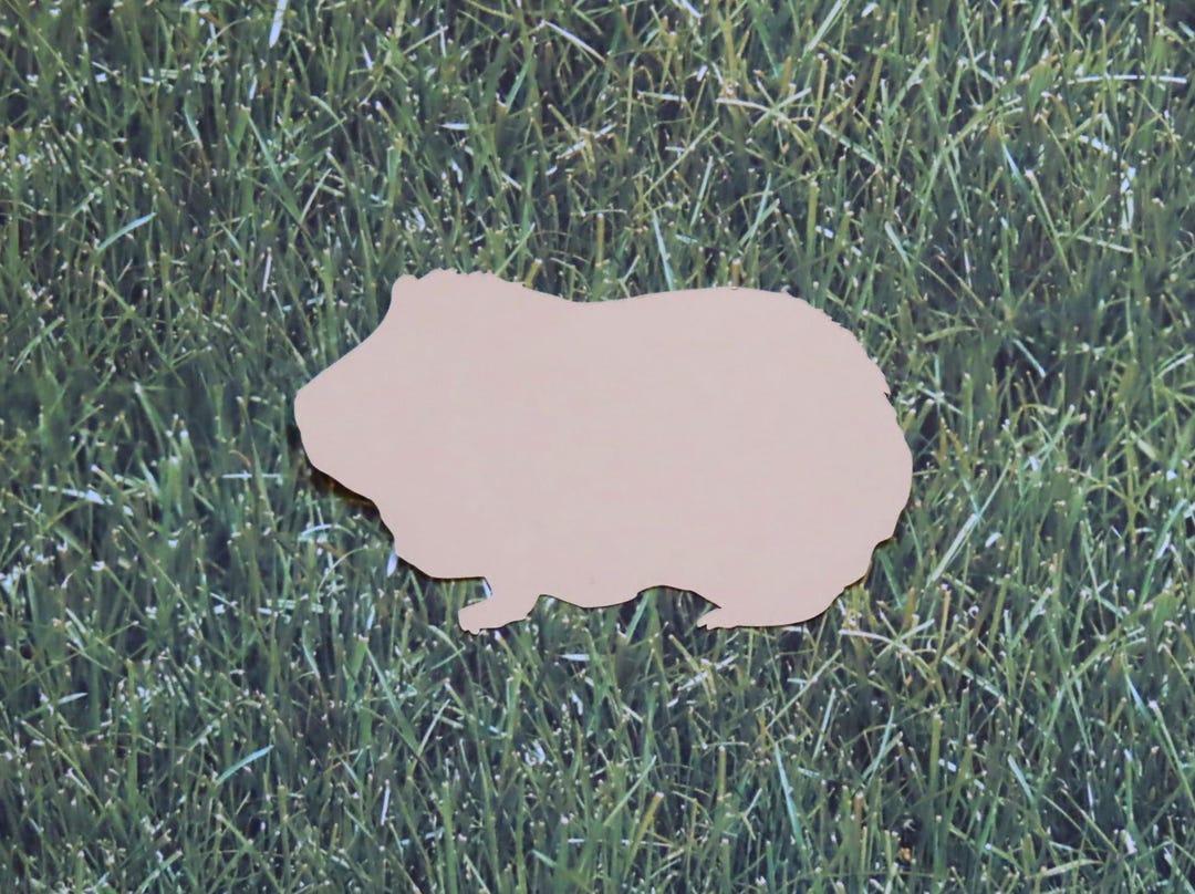 Guinea Pig Die Cuts - 20 Pcs - Paper Shapes Cardstock Cutouts - Etsy