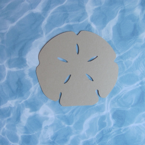 Sand Dollar Die Cut - Etsy