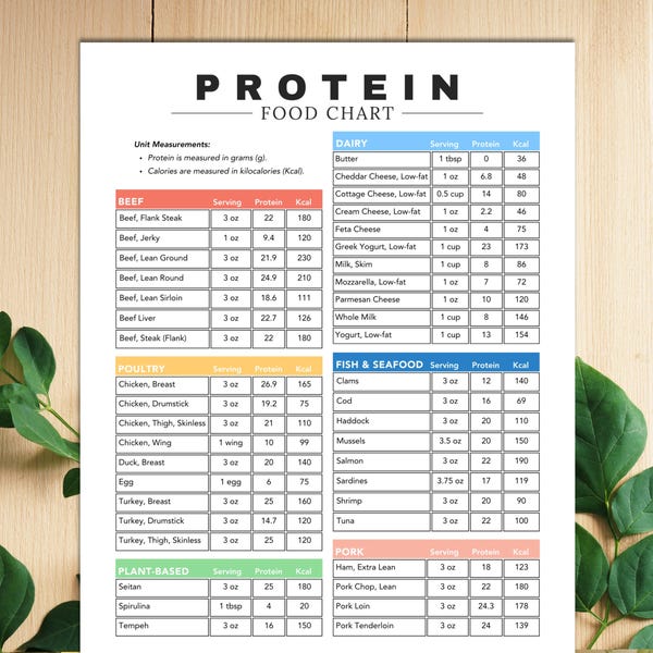 Chart of Protein Foods - Etsy