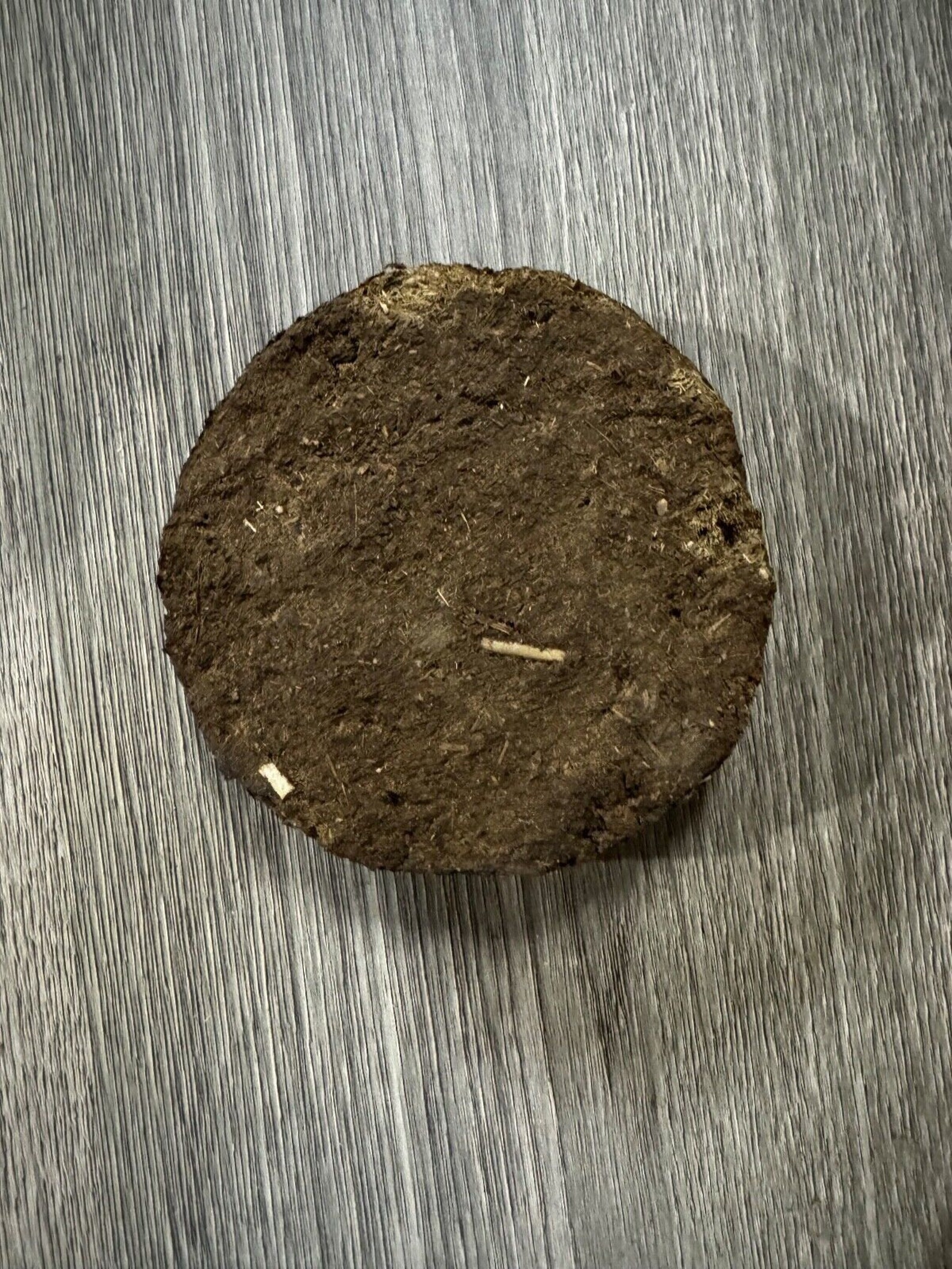 Pooja Havan Cow Dung Cakes for Religious Agnihotra & Rituals (pack of ...
