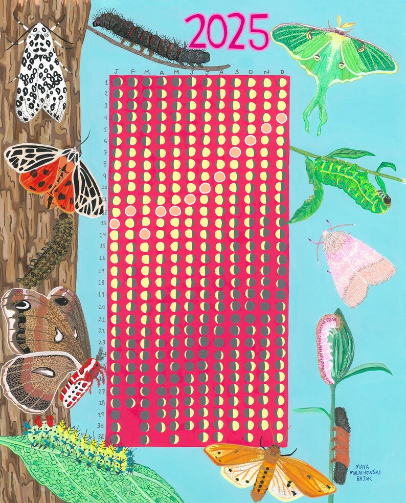 2025 Moon Phases Calendar - Etsy