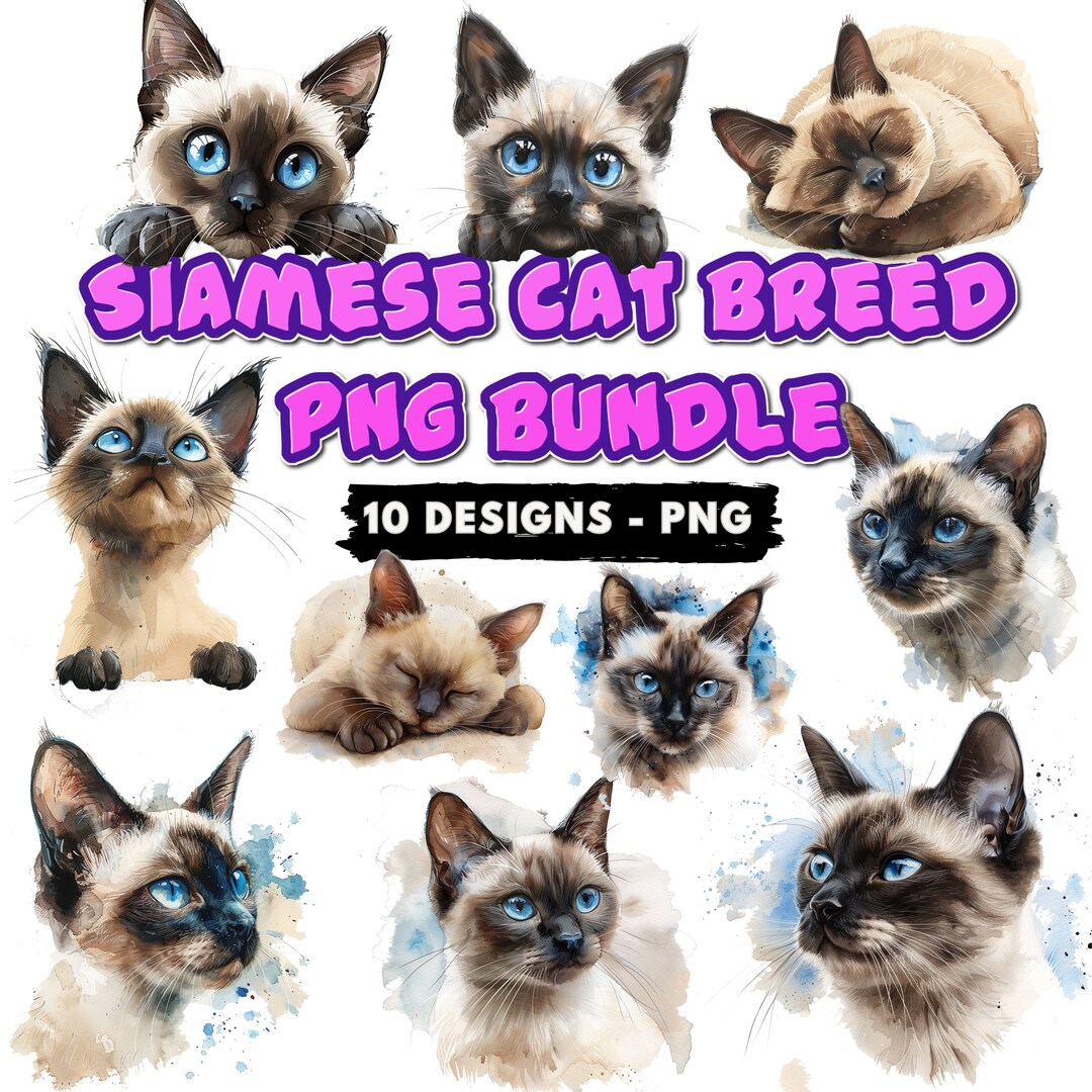 10 Siamese Cat Breed PNG Files Bundle Clipart Watercolor Peeking Laying Siamese Sublimation ...