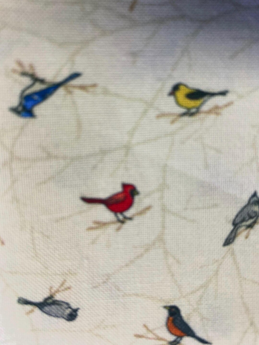 Birds Tiny Miniature Birds Cotton Fabric- Bthy - Etsy