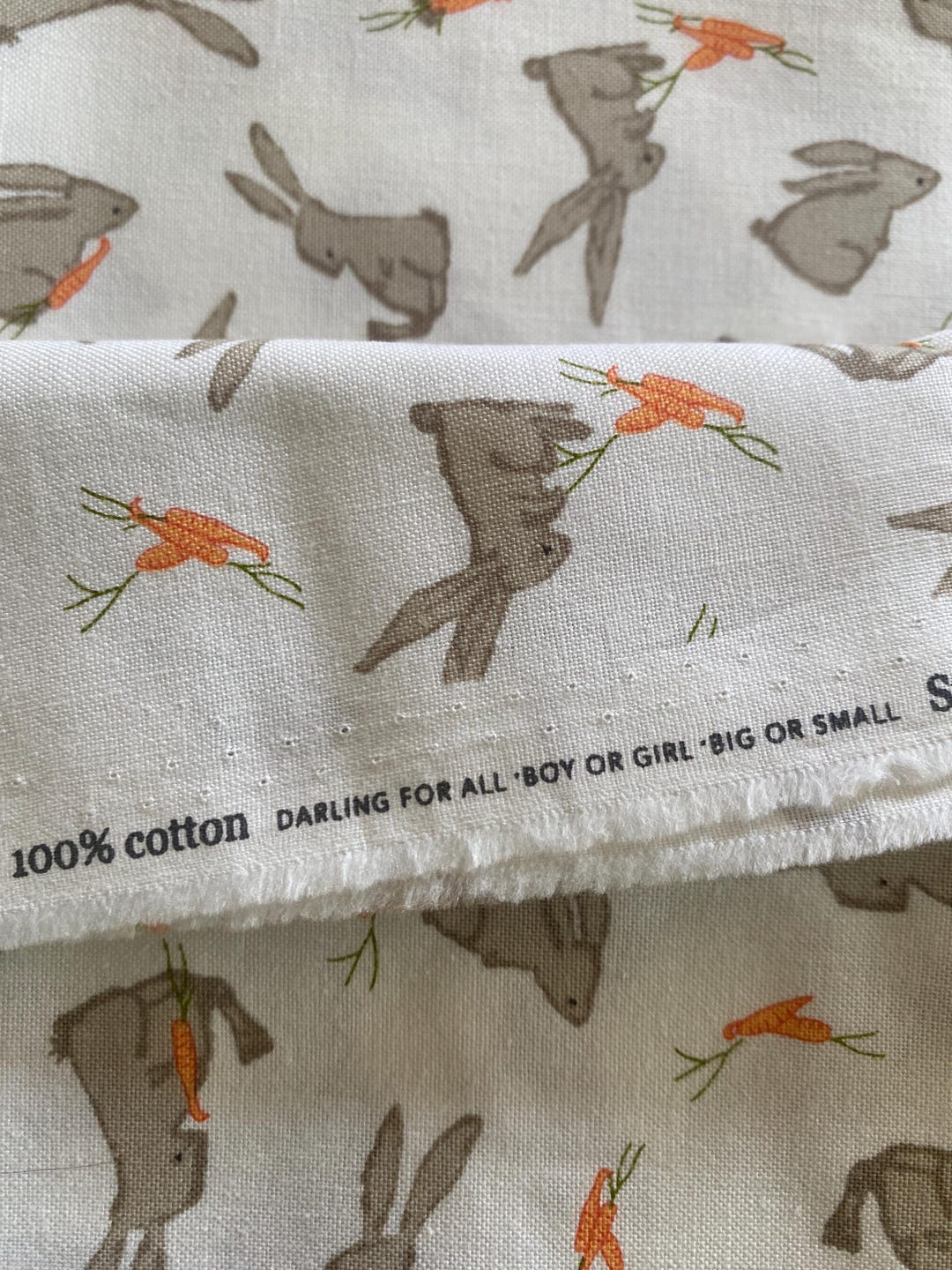 Bunny Rabbit Darling for All Girls & Boys Big or Small by Moda Quilt ...