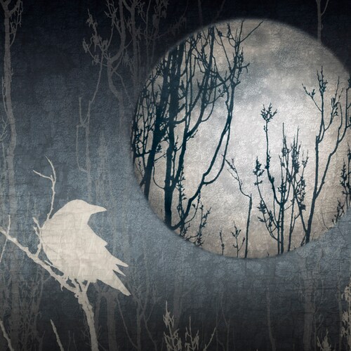 Ghost Moon Crow With Poplar Trees Coming Home Signed Fine | Etsy