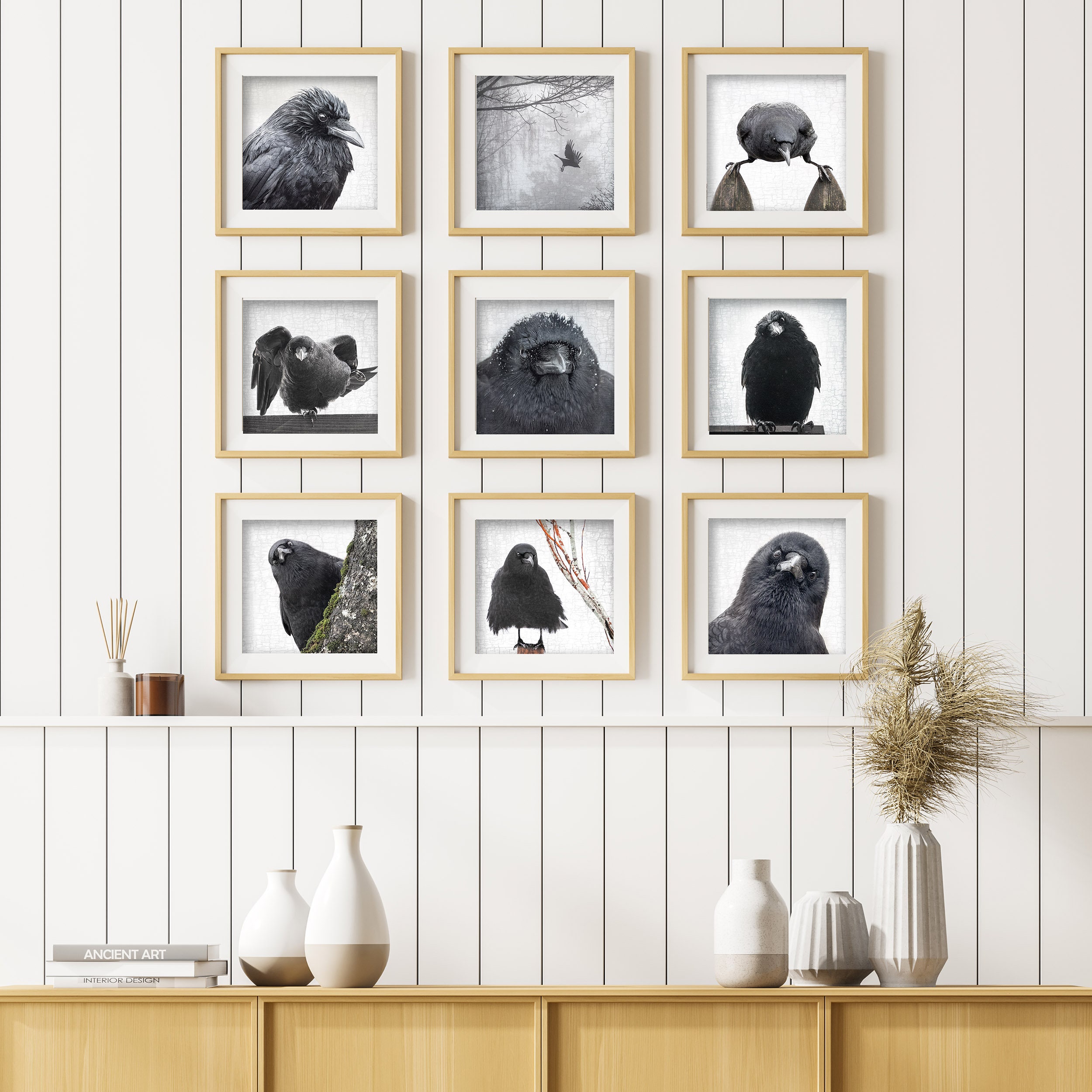 Philosopher Crow Signed Fine Art Photograph by June Hunter - Etsy Canada