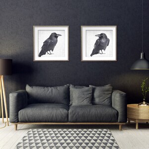 Raven Patience Signed Fine Art Photograph by June Hunter - Etsy