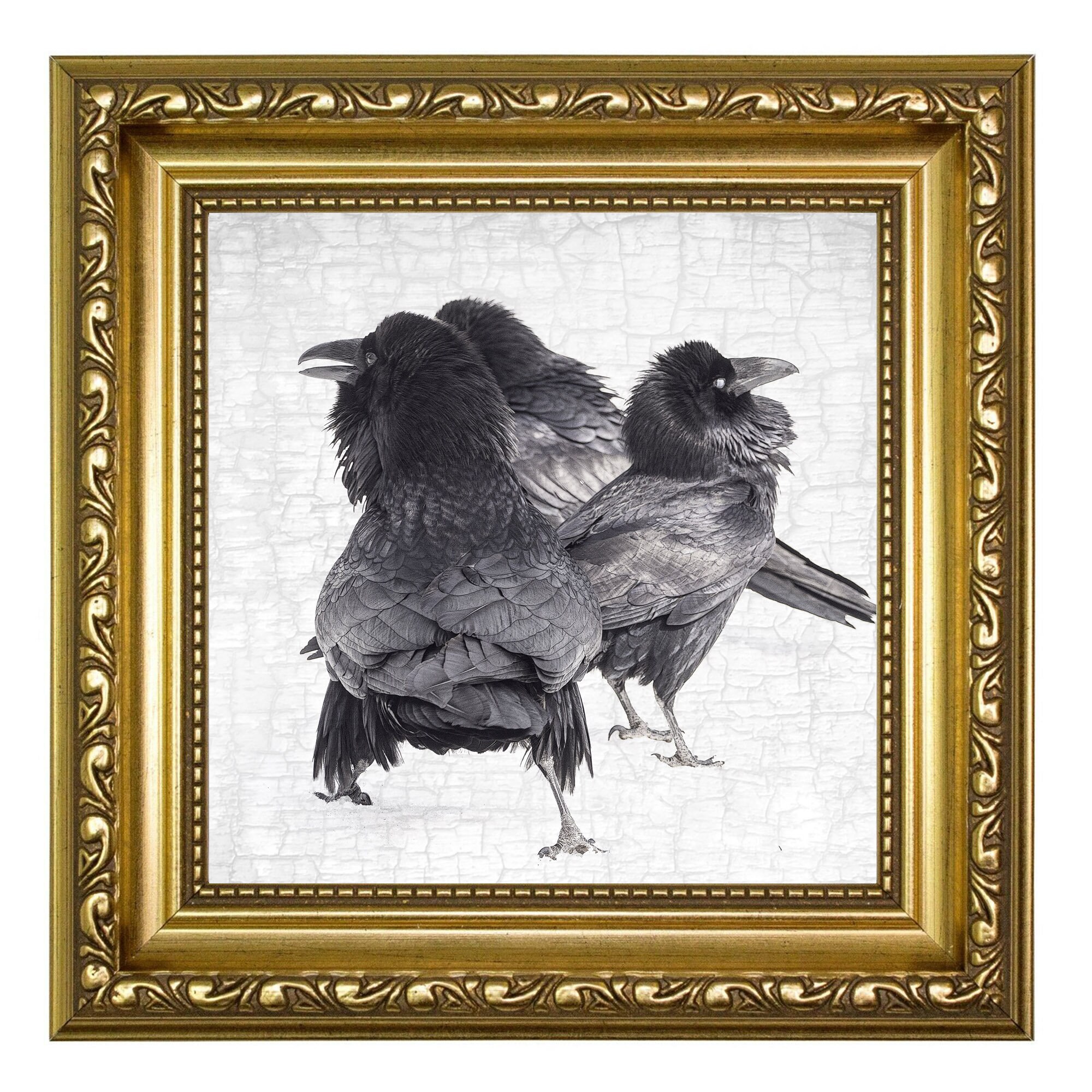 Raven Dance Part Two - Signed Fine Art Photograph by June Hunter, Raven ...