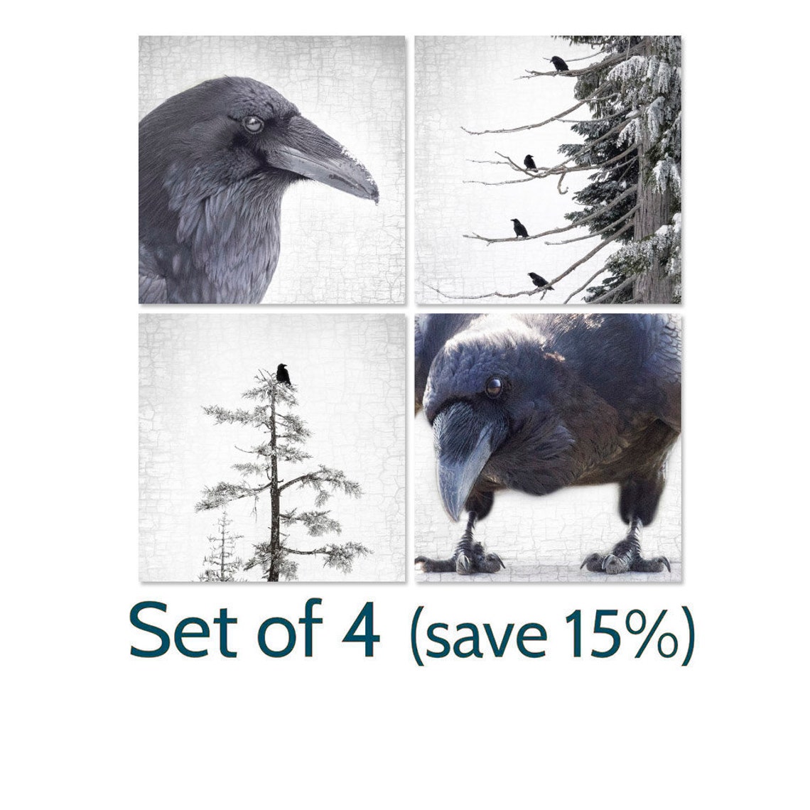 Four Ravens on Four Branches Signed Fine Art Photograph by - Etsy