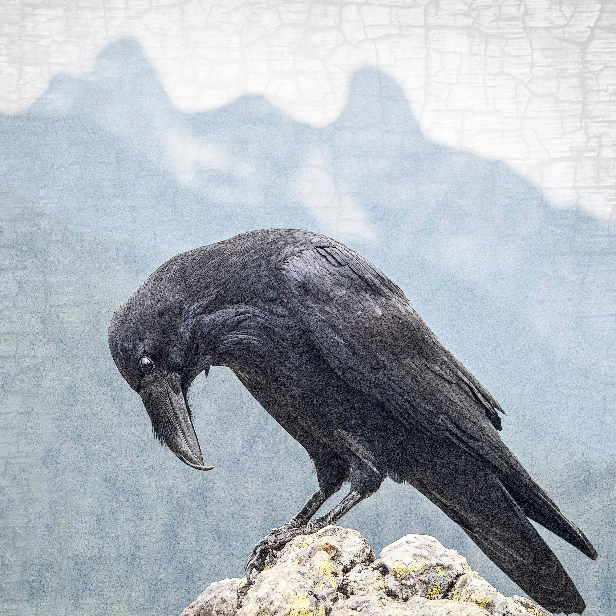 Raven and the Two Sisters- Signed Fine Art Photograph by June Hunter ...