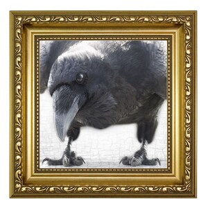QUOTH THE RAVEN Nevermore - Signed Fine Art Photograph by June Hunter ...