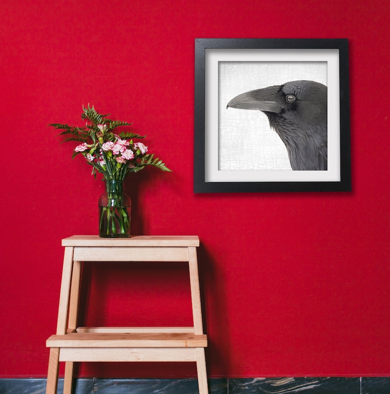 Raven Beauty Signed Fine Art Photograph by June Hunter - Etsy