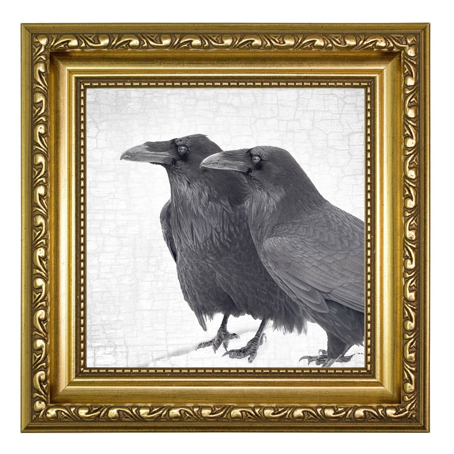 Raven Couple Signed Fine Art Photograph by June Hunter - Etsy