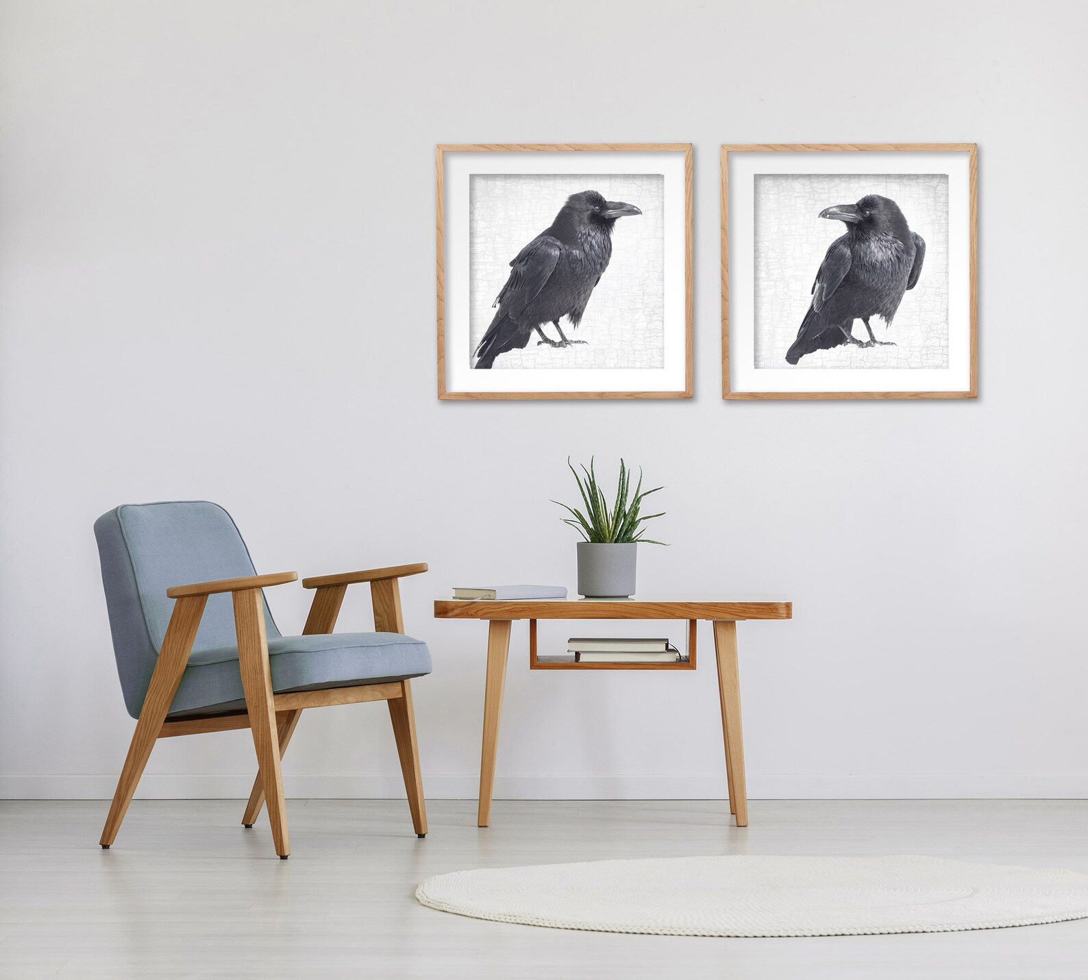 Raven Patience Signed Fine Art Photograph by June Hunter | Etsy