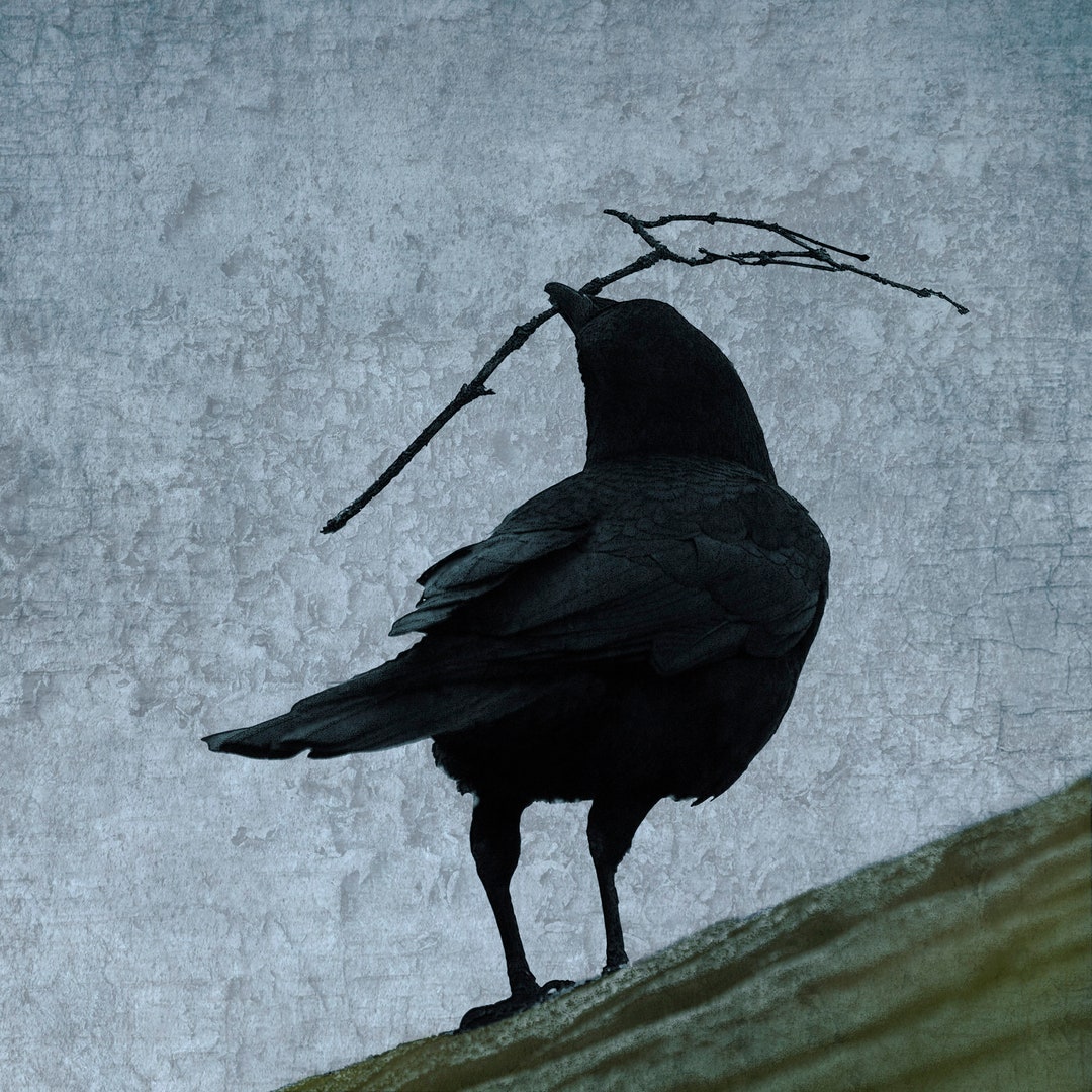 Nest Building Crow Fine Art Photograph, Sky Blue Antique Texture ...