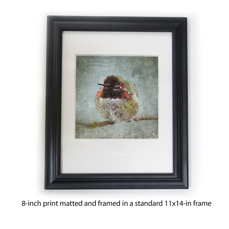 Anna's Hummingbird — Bird Print by June Hunter, Layered Collage of ...