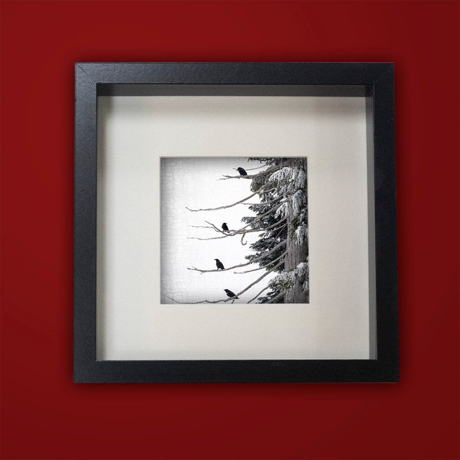 Four Ravens on Four Branches Signed Fine Art Photograph by | Etsy