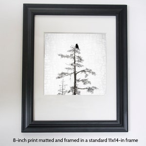 Raven Peace, A Single Raven in the Top of a Tree Signed Fine Art ...
