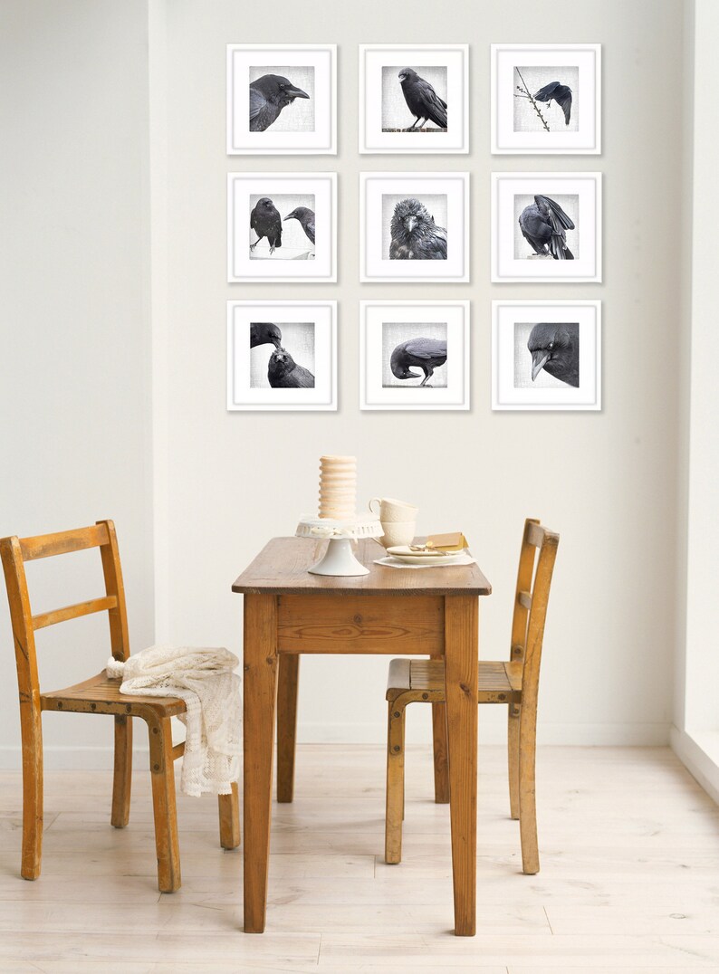 Four Ravens on Four Branches Signed Fine Art Photograph by - Etsy