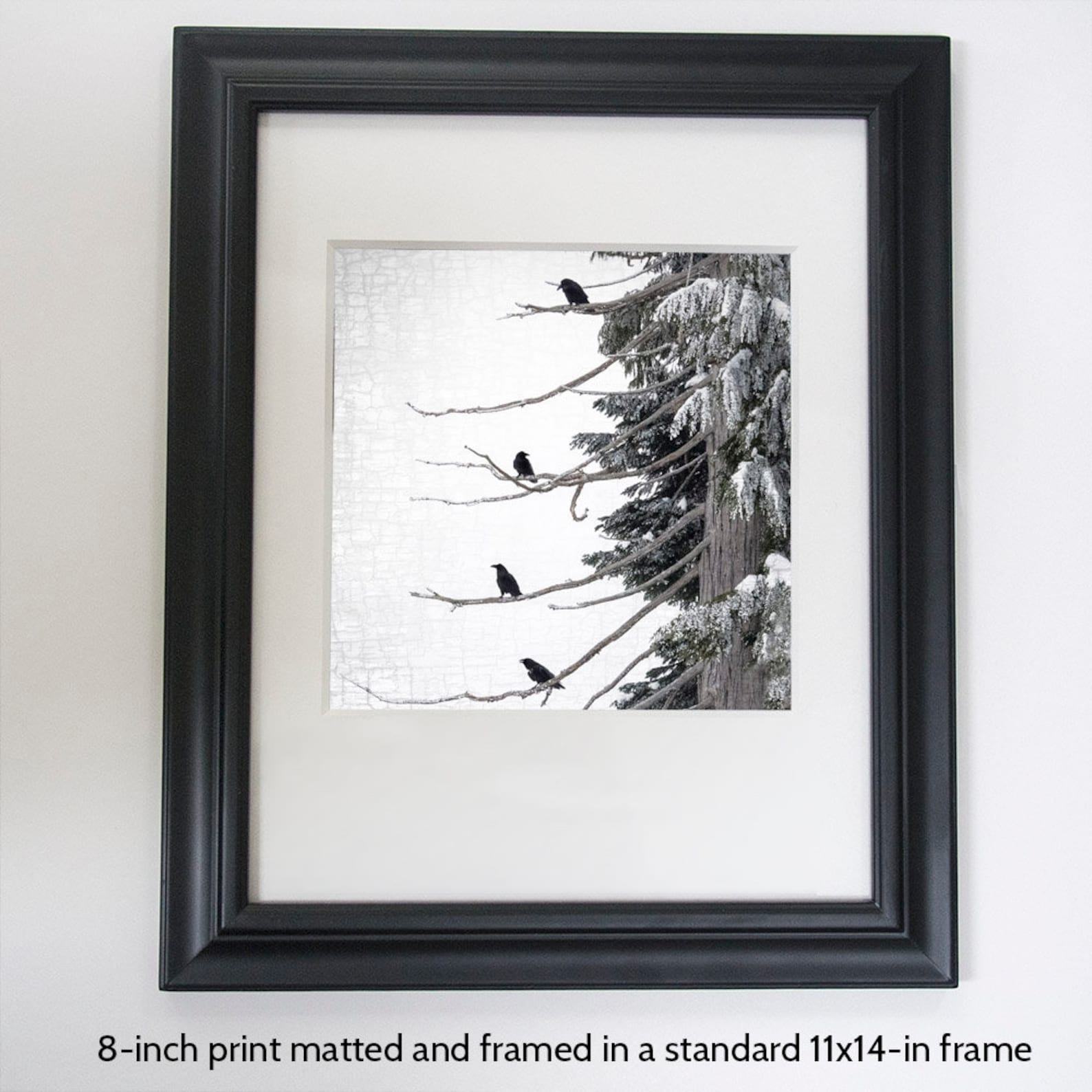 Four Ravens on Four Branches Signed Fine Art Photograph by - Etsy