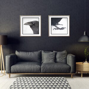Raven Beauty - Signed Fine Art Photograph by June Hunter, Black and ...