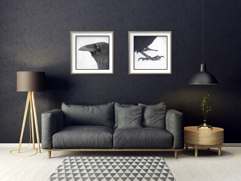 Raven Beauty - Signed Fine Art Photograph by June Hunter, Black and ...