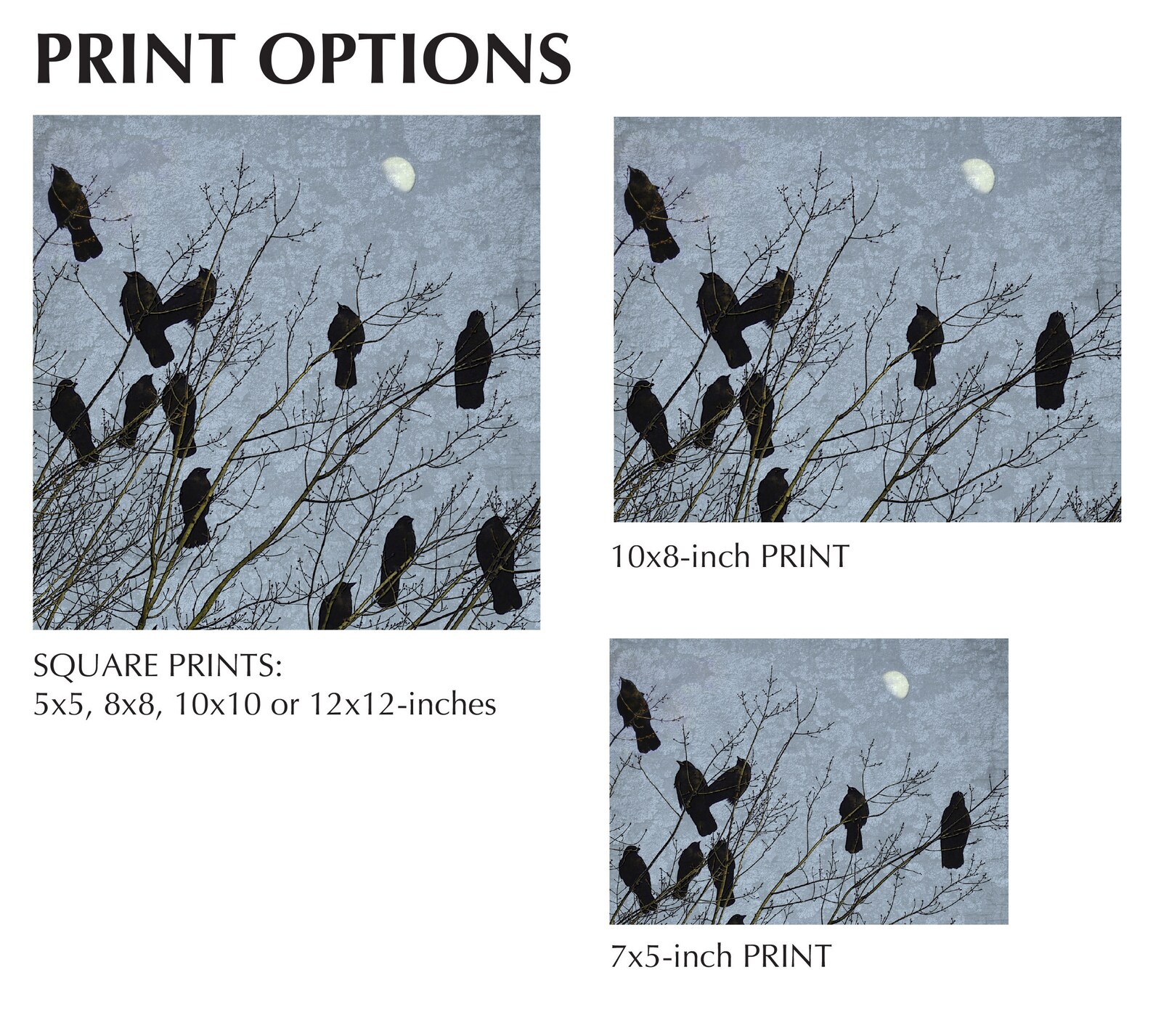 Crows Meet Under the Moon With Rich Blue Lichen Sky Coming - Etsy