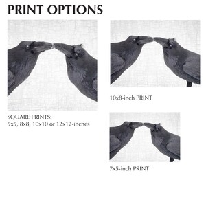 Raven Connection - Signed Fine Art Photograph by June Hunter, Black and ...