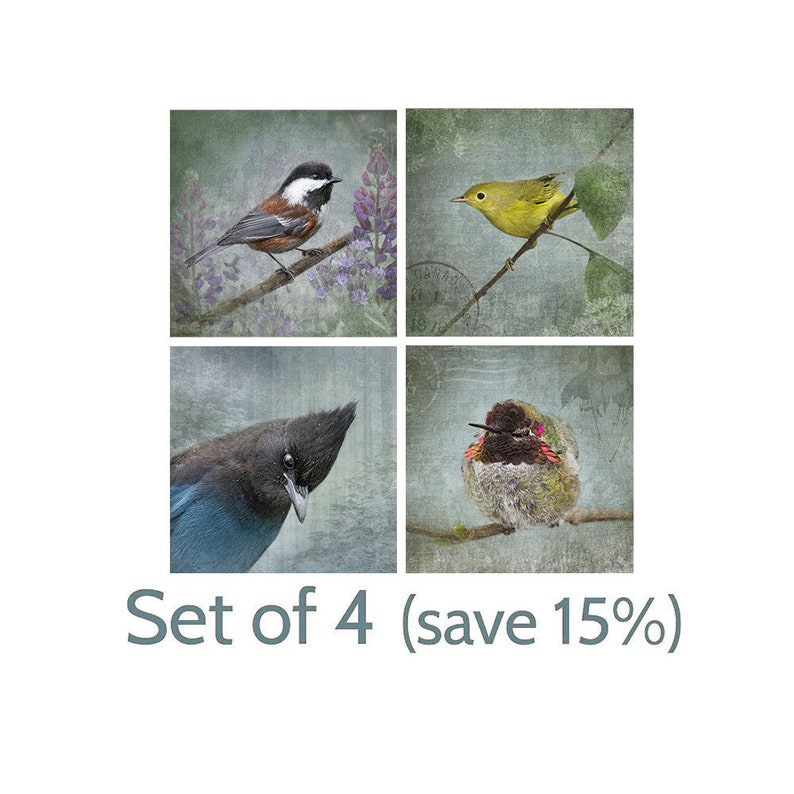 Anna's Hummingbird — Bird Print by June Hunter, Layered Collage of ...