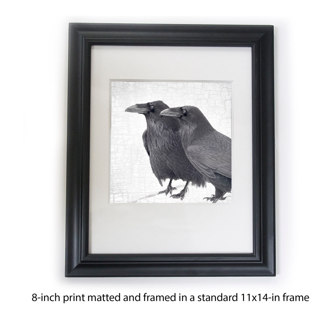 Raven Couple - Signed Fine Art Photograph by June Hunter, Black and ...