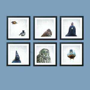 The Crow and Bushtit of Judgment — Signed Fine Art Photo Collage by ...