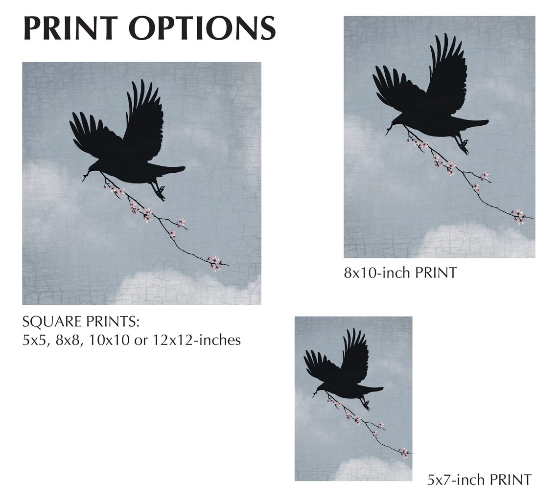 Sky Messenger Crow Carries a Blossom Branch Across a Blue | Etsy