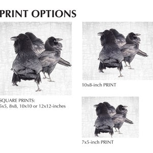 Raven Dance Part Two - Signed Fine Art Photograph by June Hunter, Raven ...