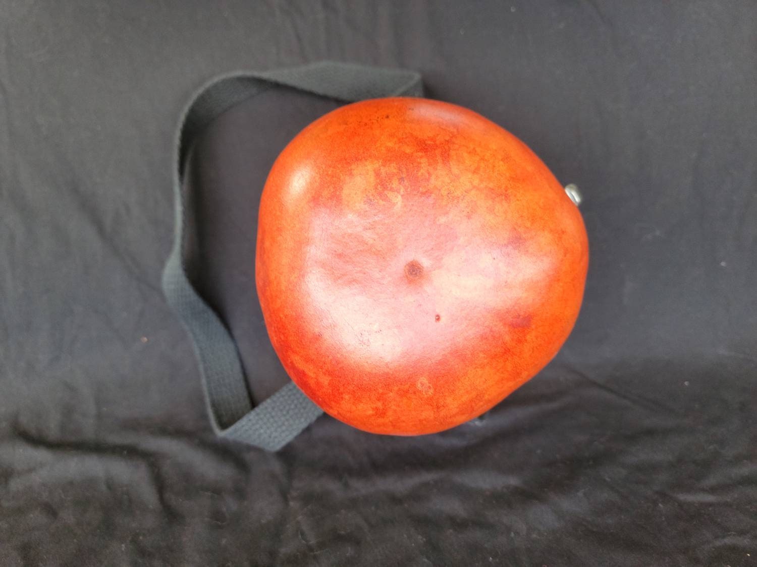 Gourd Bag, Great Size for Kids! - Etsy