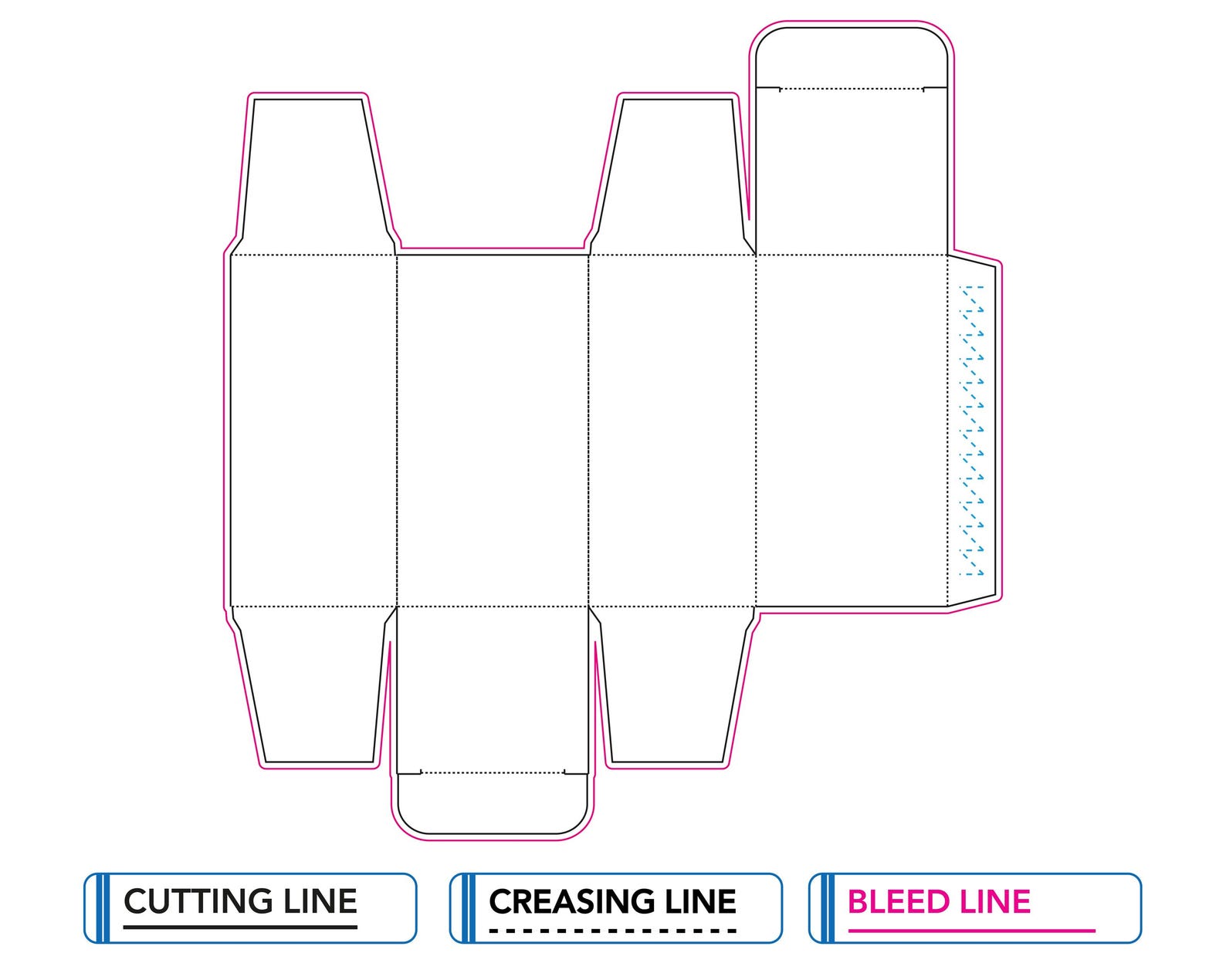 Perfume & Essential Oil Box Packaging Dieline – Foldable Bottle Box ...
