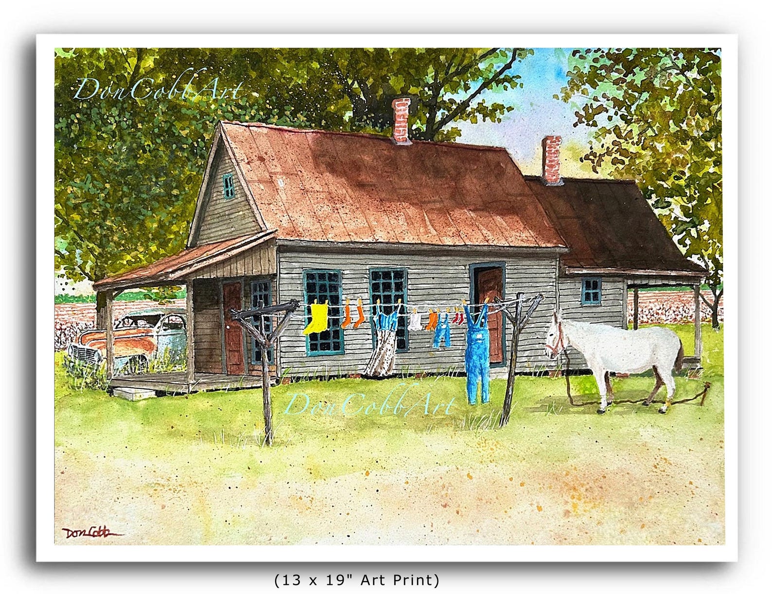 Cotton Field Art, Mississippi, White Mule, Clothes Line, Shotgun House ...