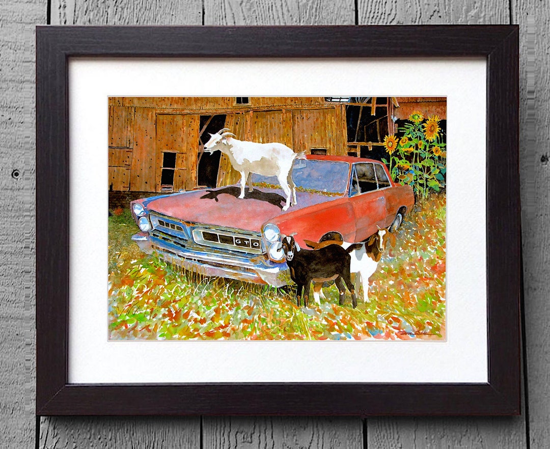 GTO Goats, Framed and Matted Art Prints, GTO Goats, Signed and Numbered ...