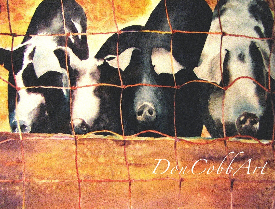 Pig Art_pigs_art Prints_framed Prints_canvas Gallery Wrap Prints - Etsy