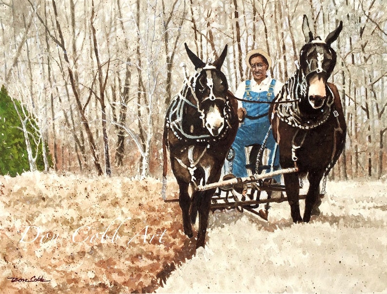 Mules Plowing Farm Cotton Field Art Art Prints and Canvas | Etsy