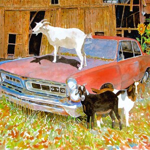 GTO Goats, Framed and Matted Art Prints, GTO Goats, Signed and Numbered ...