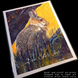 Rabbit Art cottontail Rabbit Art Prints and Canvas - Etsy