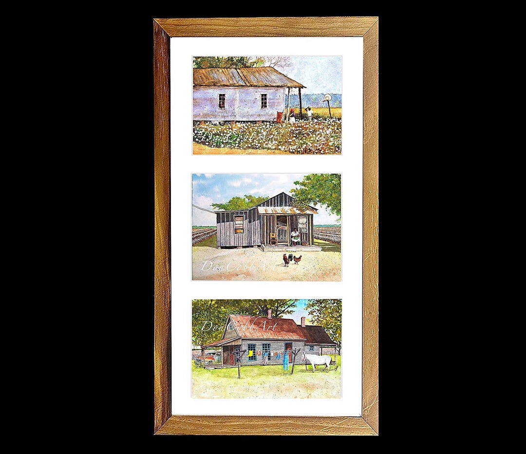 Cotton Field Art, 12x20 Frame With 3 Window Mat, Signed and Numbered ...