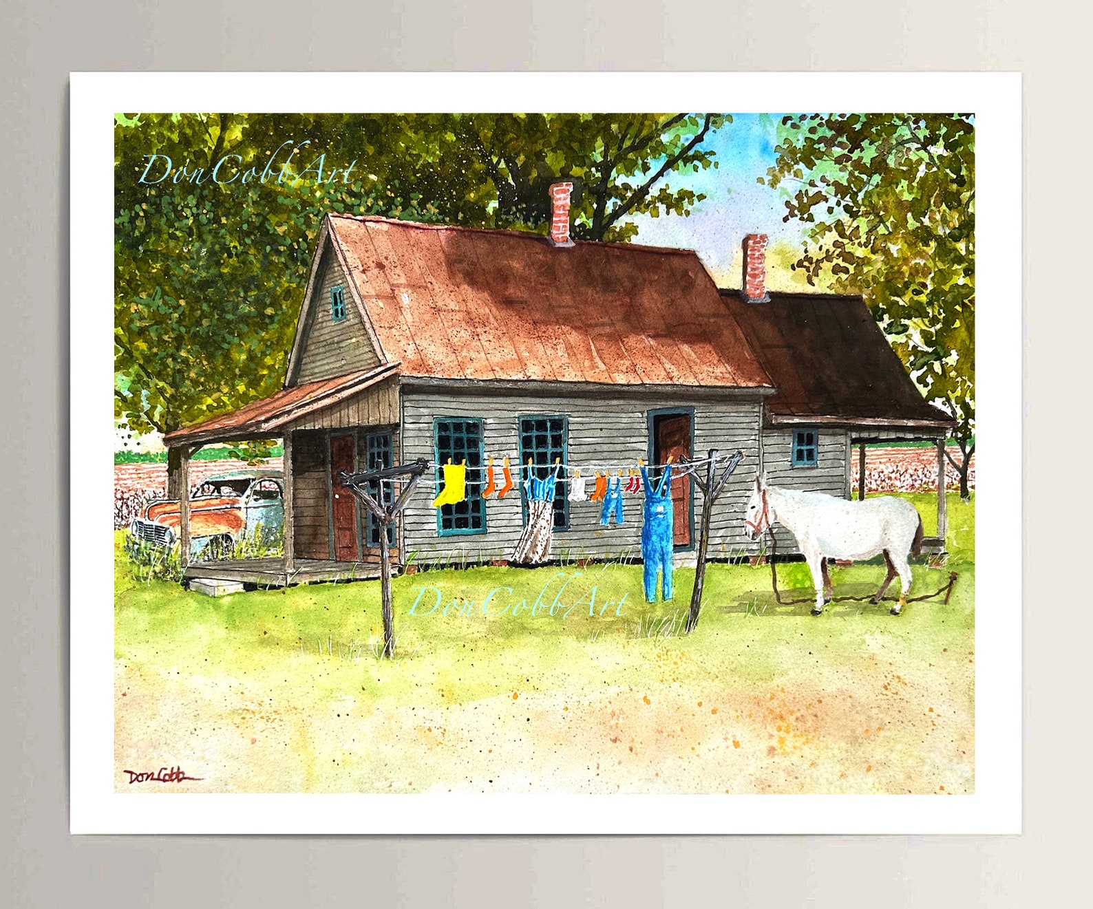 Cotton Field Art, Mississippi, White Mule, Clothes Line, Shotgun House ...