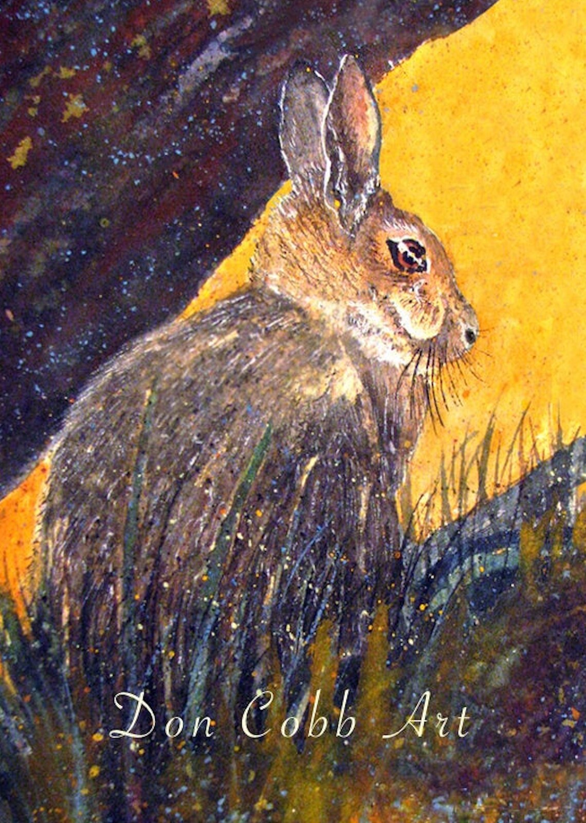 Rabbit Art cottontail Rabbit Art Prints and Canvas - Etsy