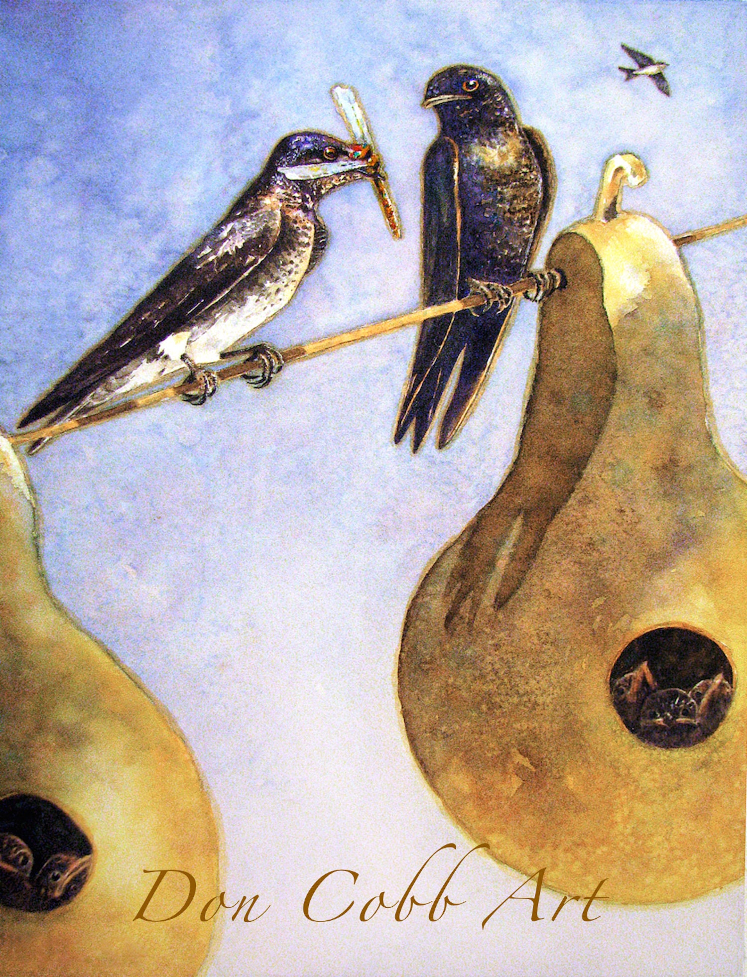 Purple Martin Bird Art purple Martin Time Prints | Etsy